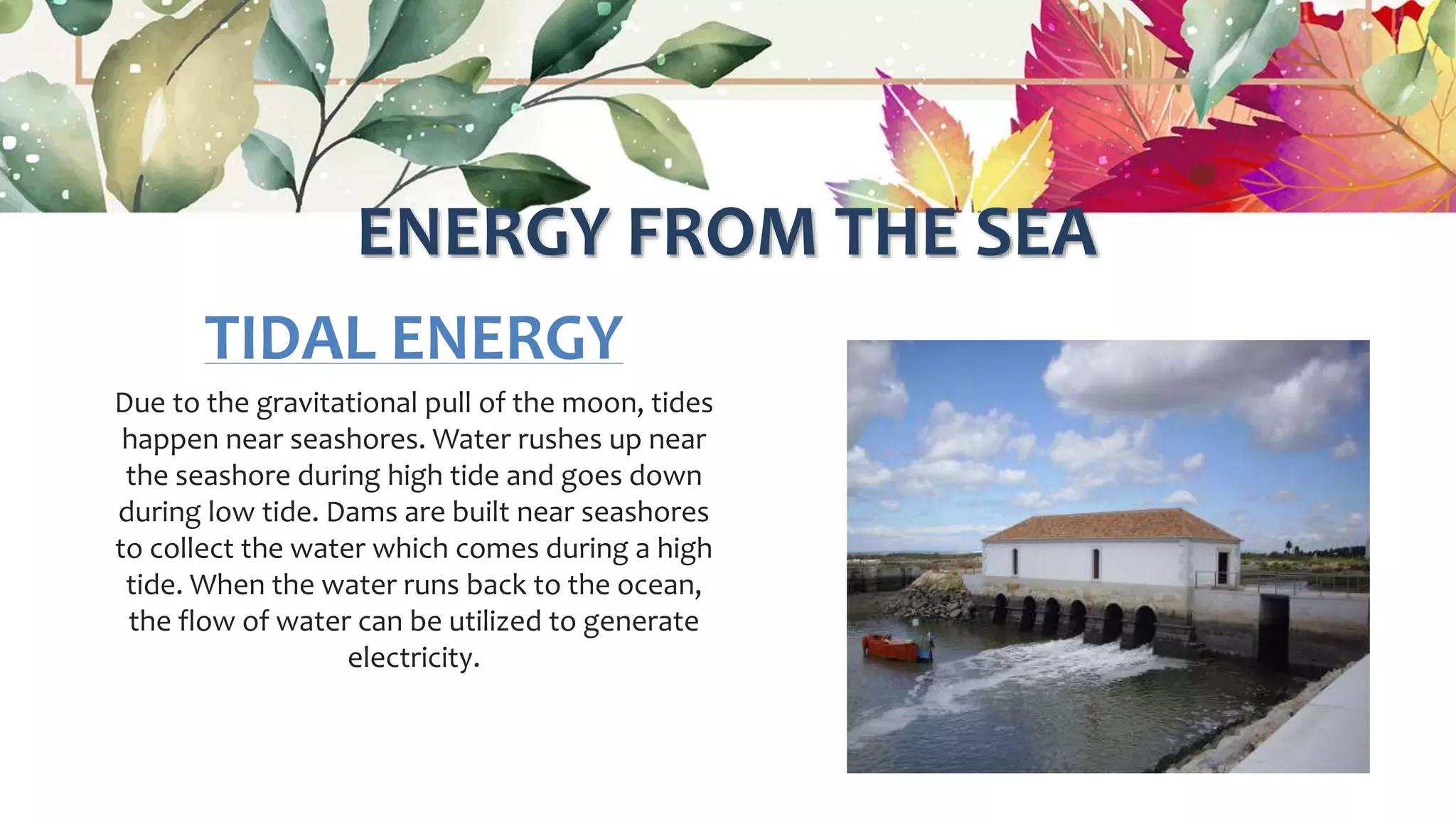 Sources Of Energy | PPT