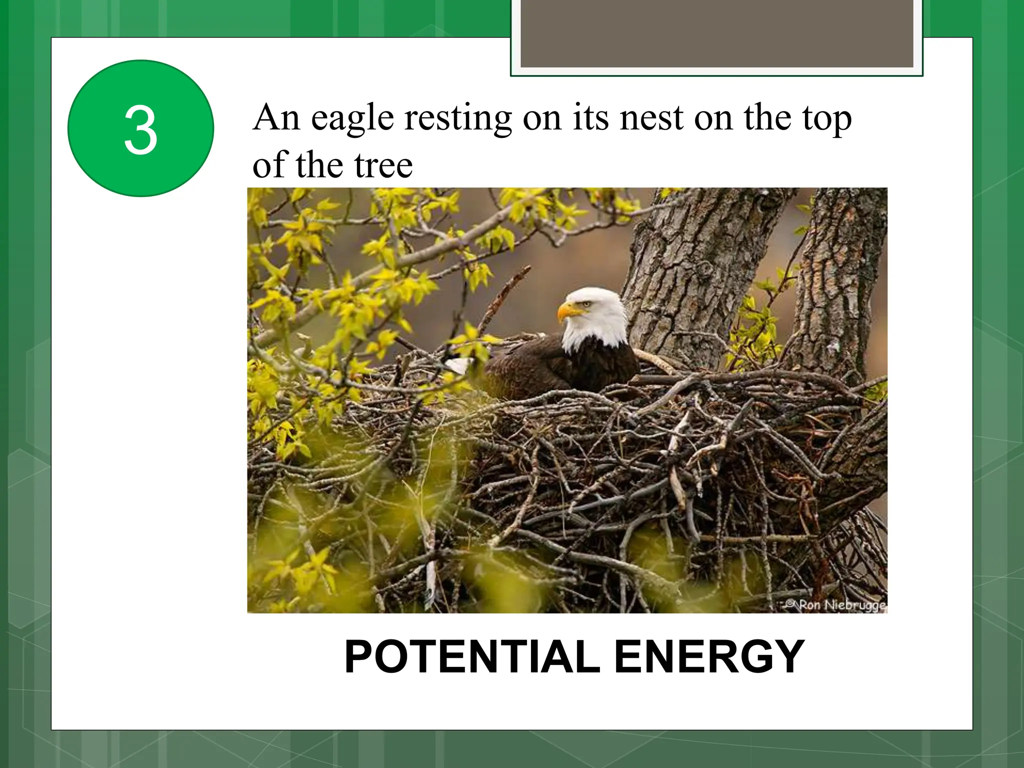 Energy - Physics: Grade 8 - Science.pptx