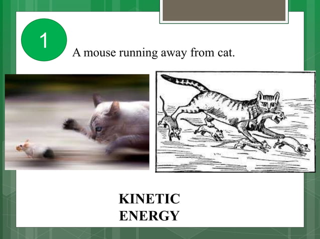 Energy - Physics: Grade 8 - Science.pptx | Physics | Science