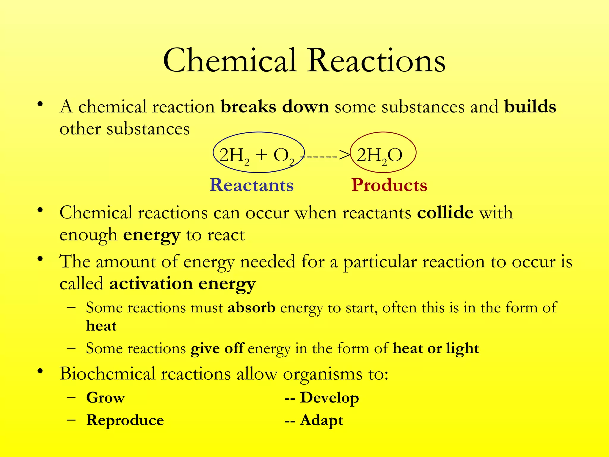 Energy And Enzymes Notes New | PPT