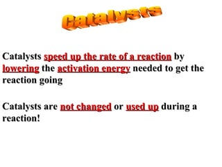 Energy and Organisms | PPT