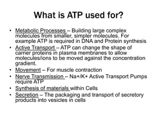Energy-ATP-and-Respiratoin.pptx
