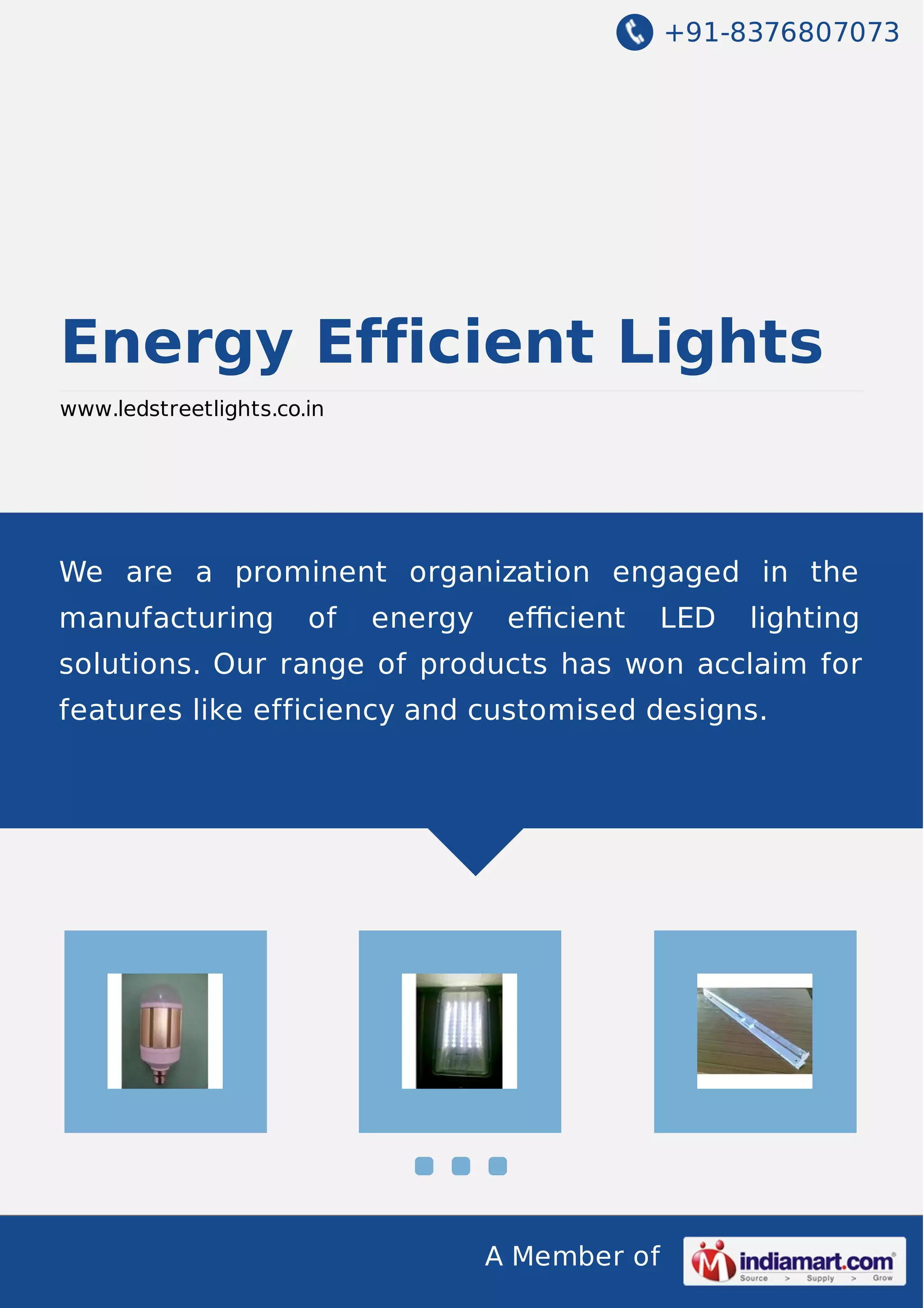 Energy Efficient Lights | PDF