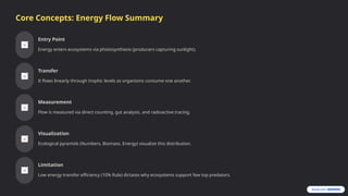 Energy-Flow-in-an-Ecosystem for shs.pptx
