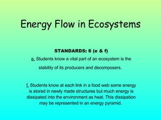 Energy Flow In Ecosystems | PPT
