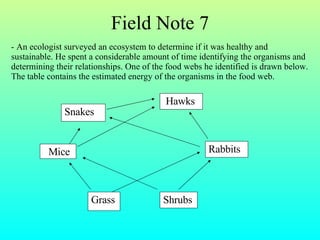 Energy Flow In Ecosystems | PPT