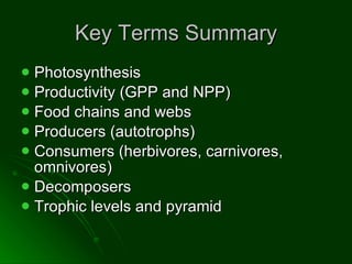 Ecosystems 2 Energy Flows | PPT