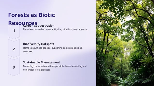 Energy-Resources-and-Biotic-Resources.pdf.pptx