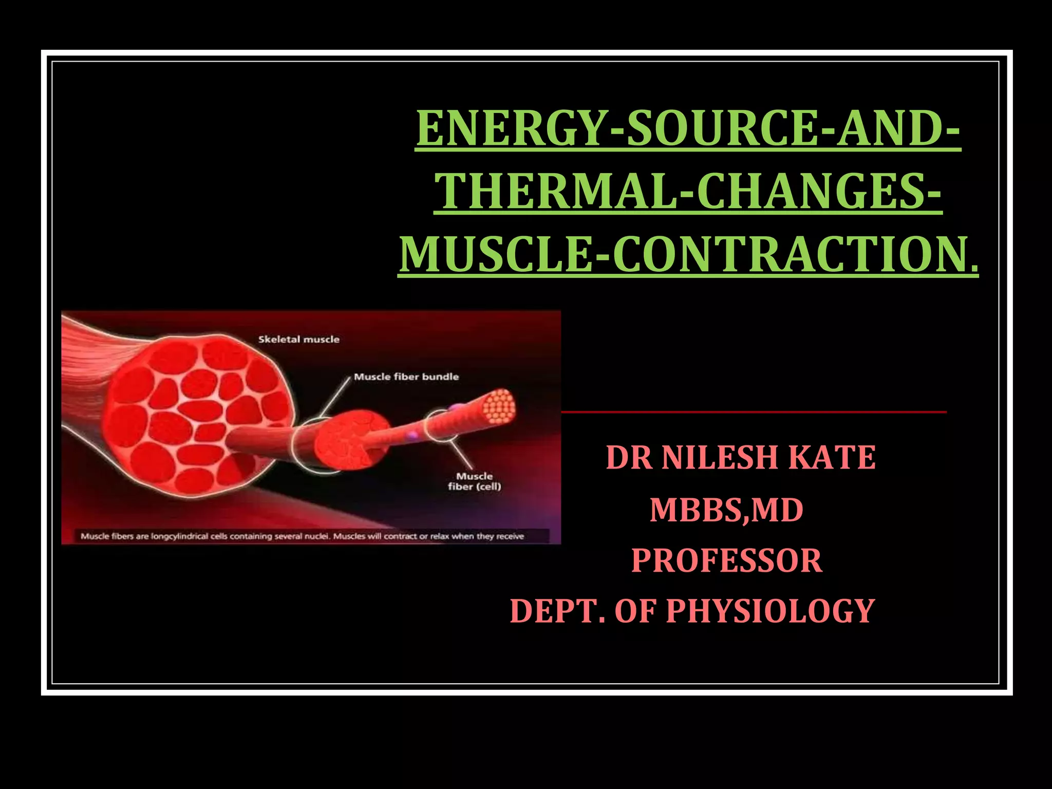 ENERGY SOURCE AND THERMAL CHANGES IN MUSCLE CONTRACTION | PPTX