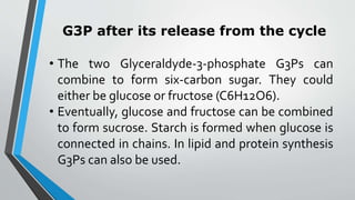 ENERGY-TRANSFORMATION.pptx