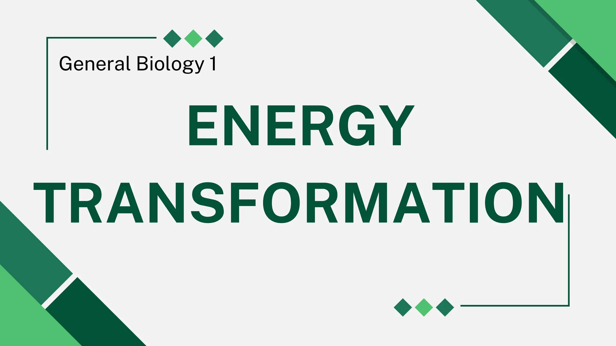 ENERGY-TRANSFORMATION.pdf