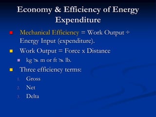 Energy Expenditure.ppt