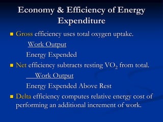 Energy Expenditure.ppt