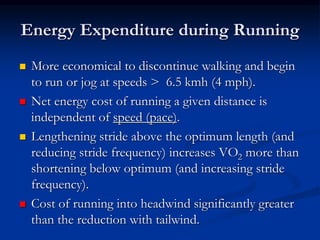 Energy Expenditure.ppt