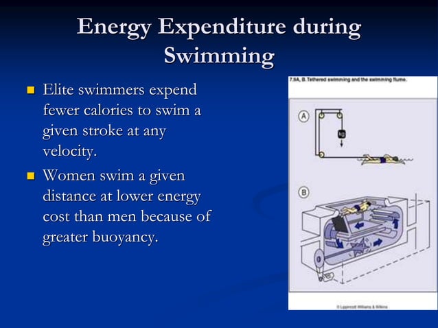 Energy Expenditure.ppt