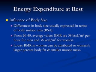 Energy Expenditure.ppt