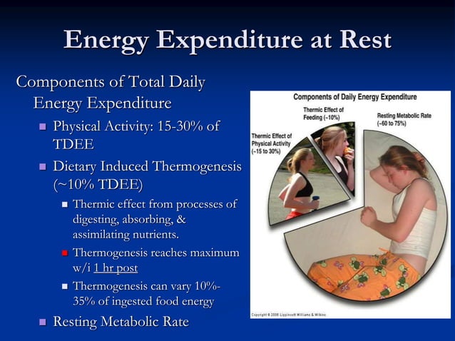 Energy Expenditure.ppt