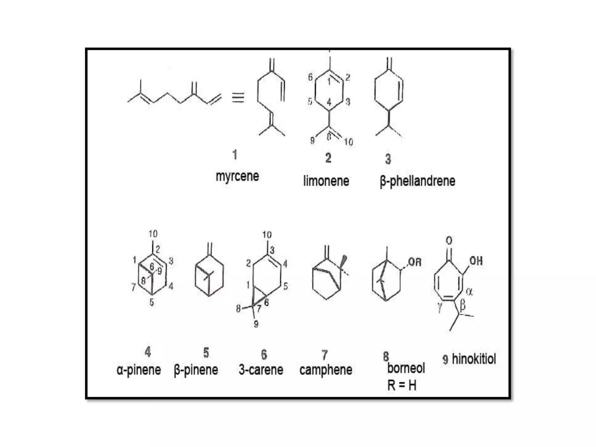 WOOD ENERGY AND EXTRACTIVES | PPTX