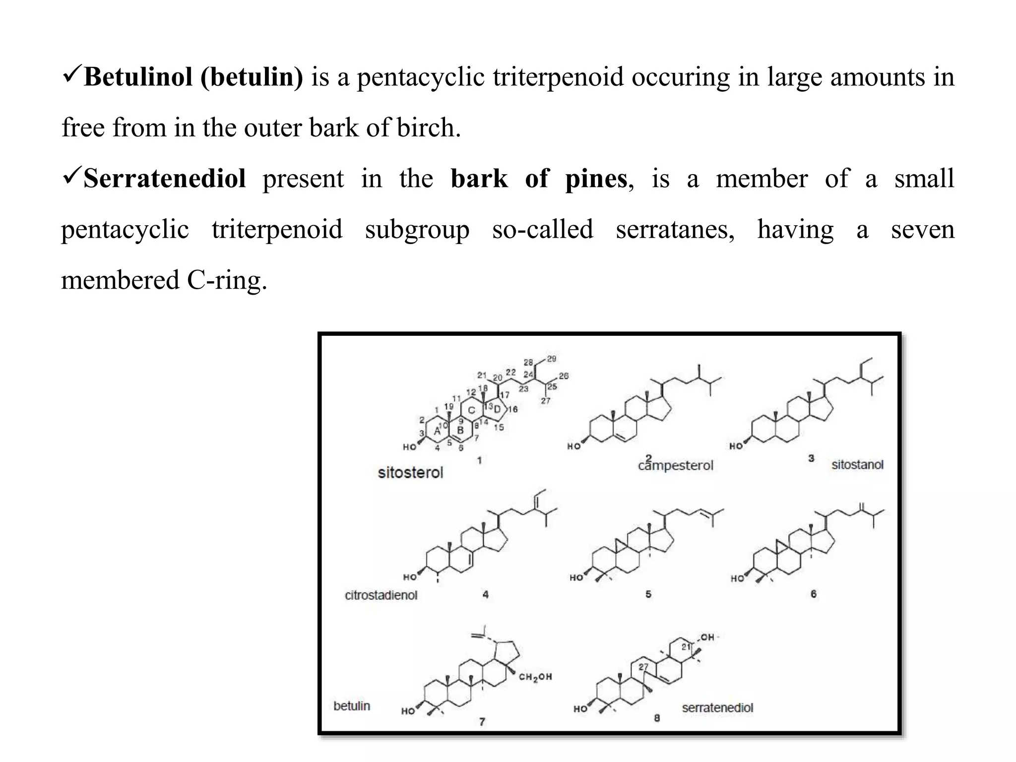 WOOD ENERGY AND EXTRACTIVES | PPTX