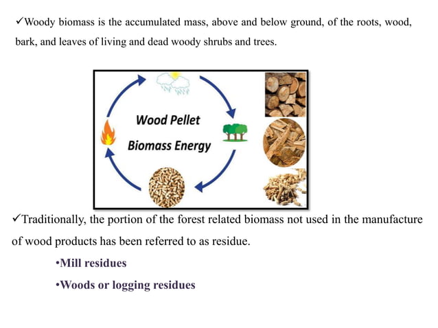 WOOD ENERGY AND EXTRACTIVES | PPTX