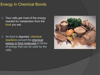 Energy and chem reactions in cells | PPTX