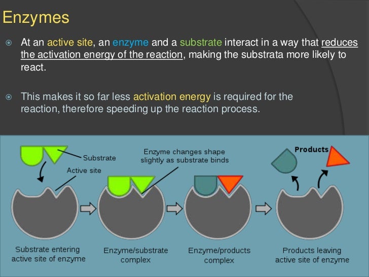 Energy and chem reactions in cells