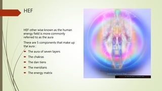 The Human Energy Field | PPTX