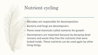 Energy and nutrient transfer | PPT