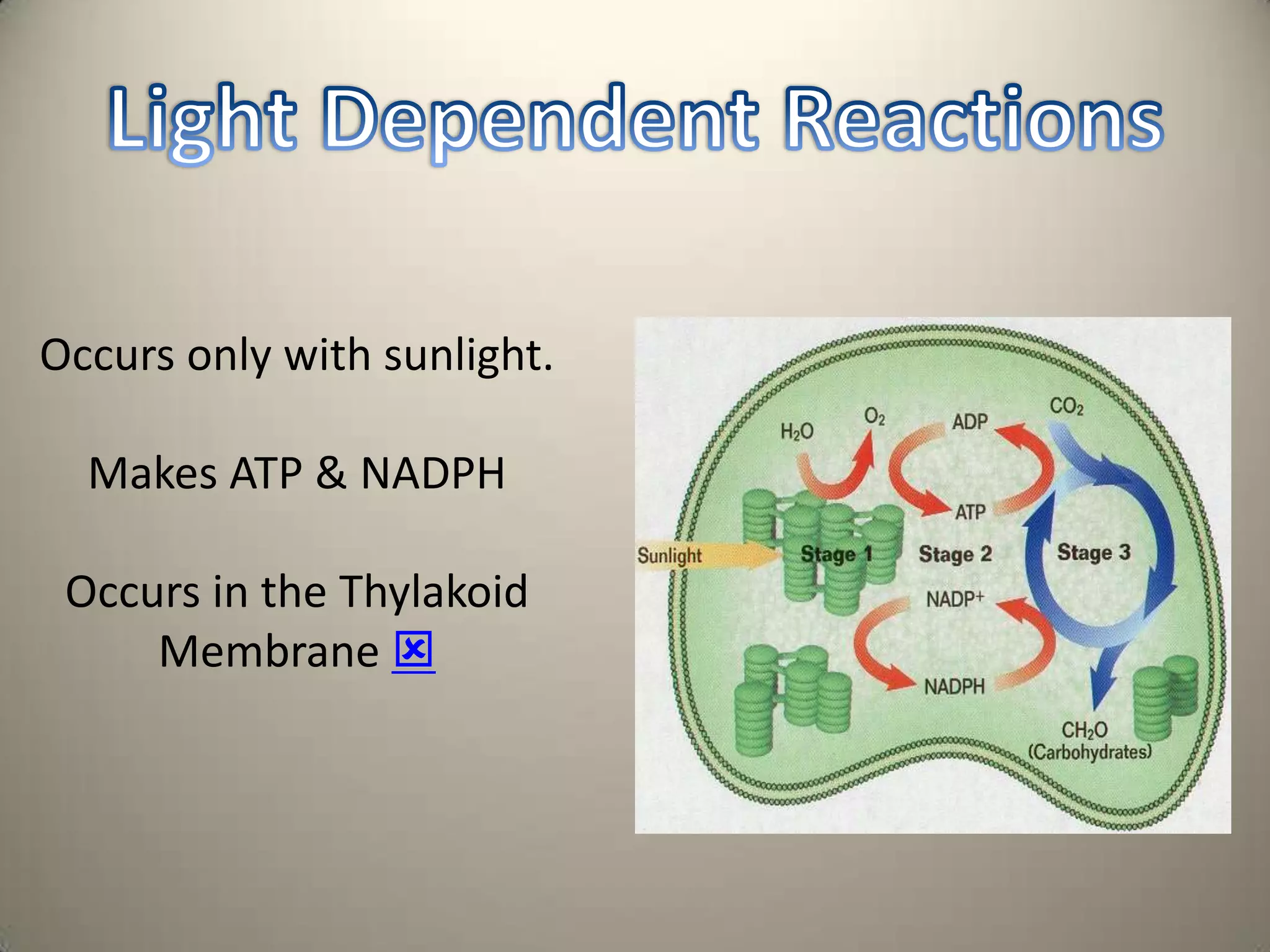 Energy and photosynthesis | PPT