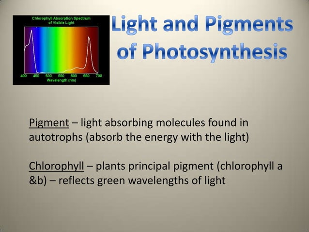 Energy and photosynthesis | PPT