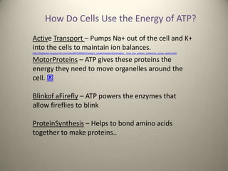 Energy and photosynthesis | PPT