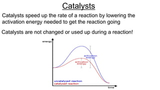 Energy and physiology | PPTX | Chemistry | Science