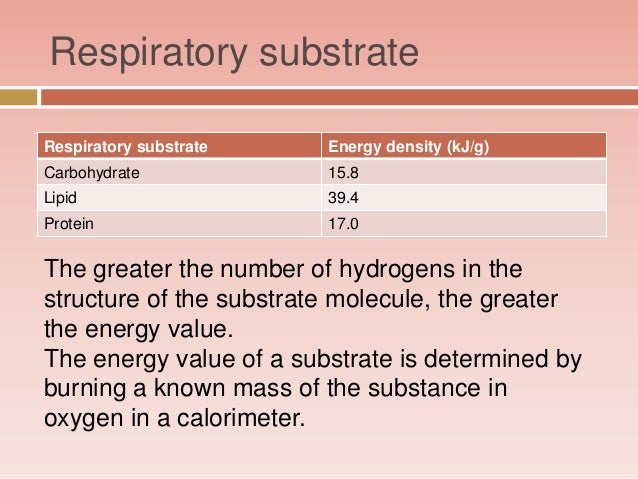 Energy and respiration
