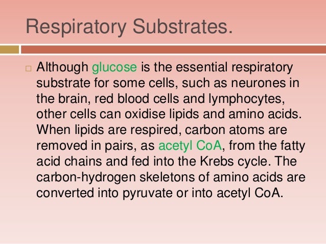 Energy and respiration