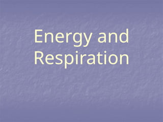 Energy and Respiration A2 biology Alevels | PPTX