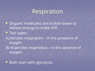 Energy and Respiration A2 biology Alevels | PPTX