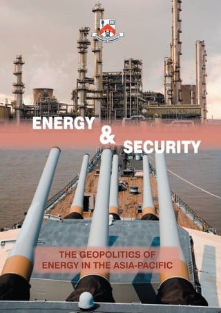 Energy and security | PDF