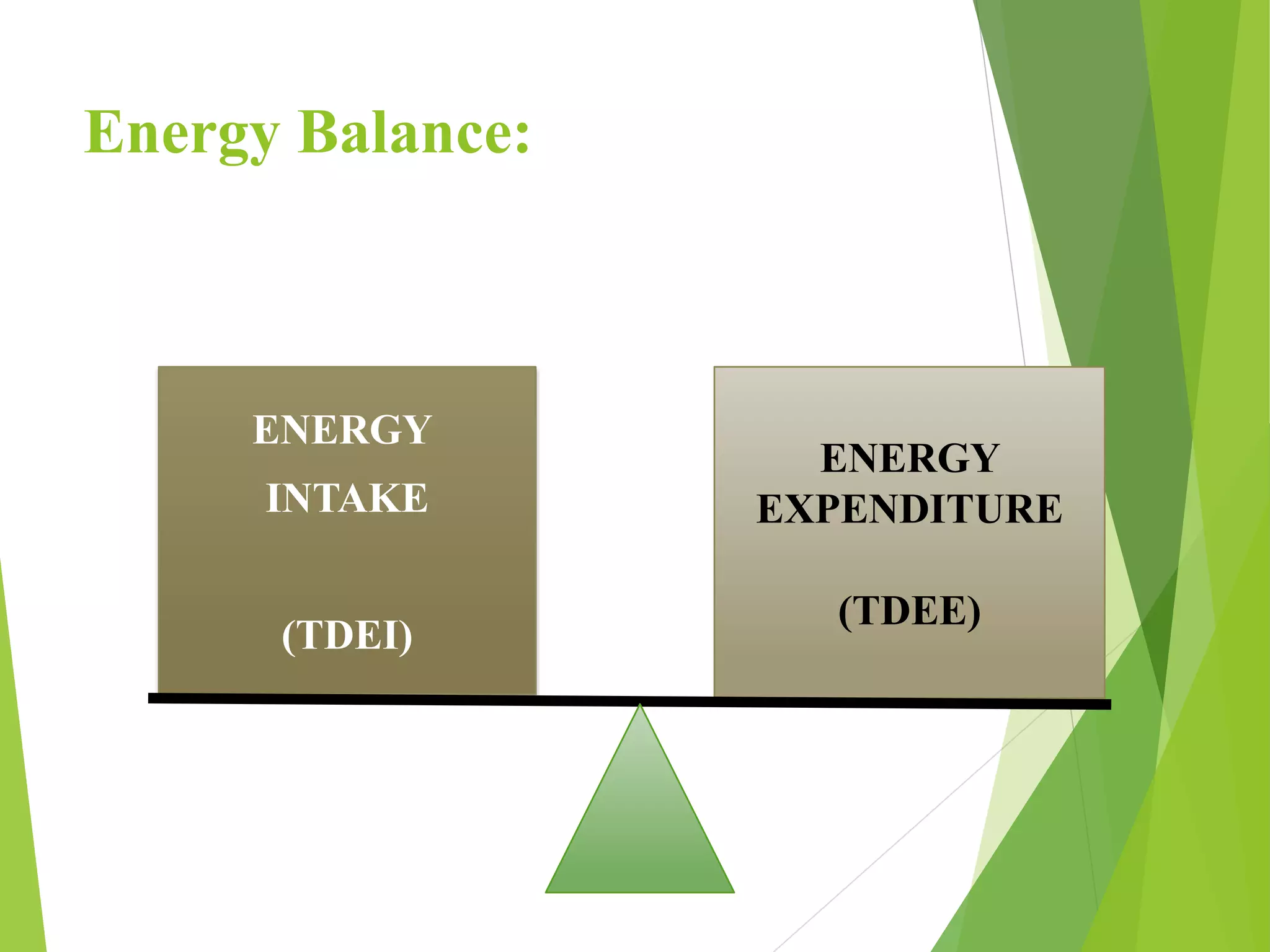 Energy balance | PPTX