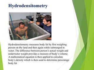 Energy balance | PPTX