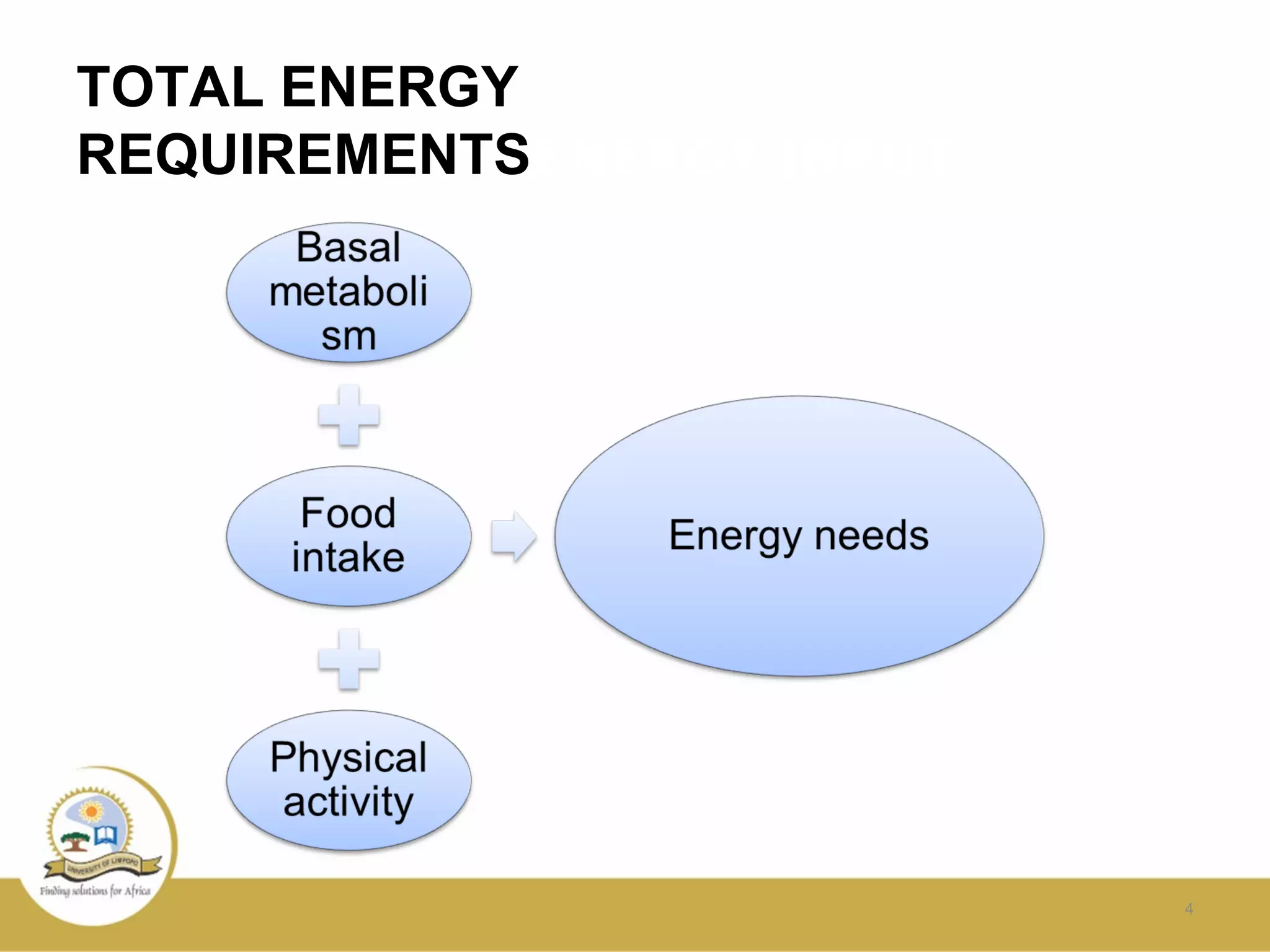ENERGY BALANCE.ppt.pdf