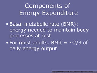 Energy Balance Powerpoint Presentation... | PPT