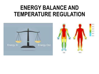 ENERGY BALANCE AND TEMPERATURE REGULATION(1) (1).pptx