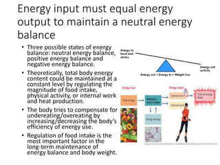 ENERGY BALANCE AND TEMPERATURE REGULATION(1) (1).pptx