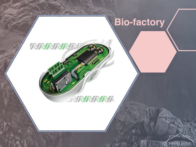 Application of Molecular Biotechnology in Environmental Protection | PPT