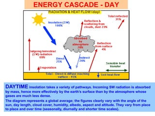 Energy budgets | PPT | Free Download