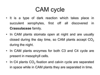 ENERGY CONSERVATION IN PLANTS TO PERFORM THEIR LIFE PROCESS.ppt