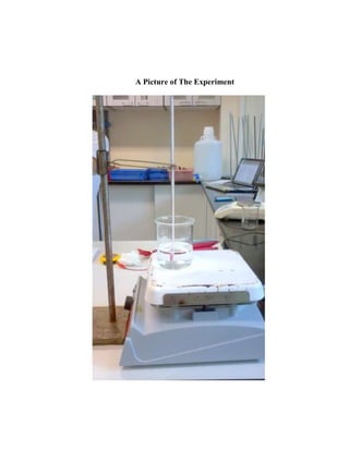 Energy conversion practical | DOCX | Physics | Science