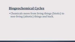 Energy cycles notes | PPTX
