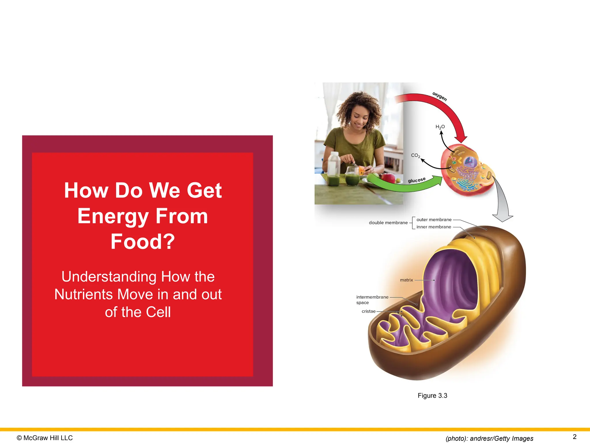 Energy Drinks Module 3 Cells and Energy from Food (1).pptx