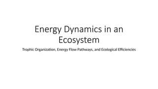 Energy Dynamics in an Ecosystem: Trophic Organization, Energy Flow ...
